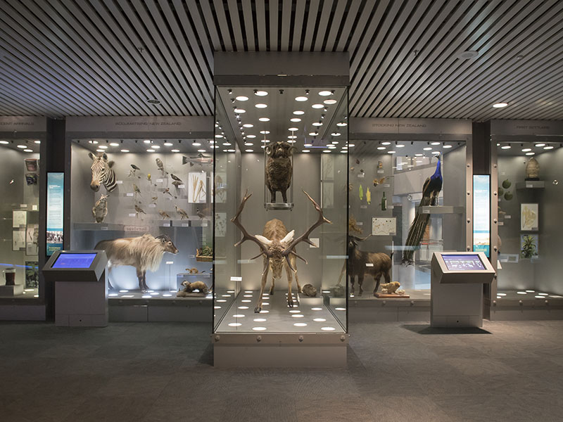 Blood Earth Fire | Te Papa