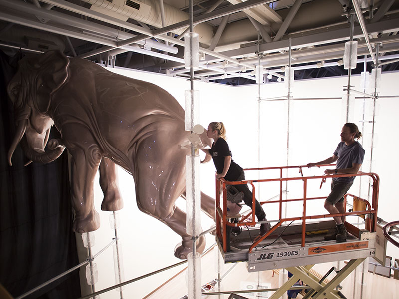 Behind the scenes of Toi Art under construction | Te Papa