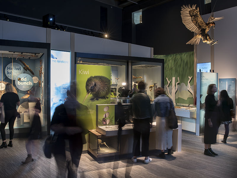 Te Taiao | Nature exhibition a new benchmark for a new generation | Te Papa